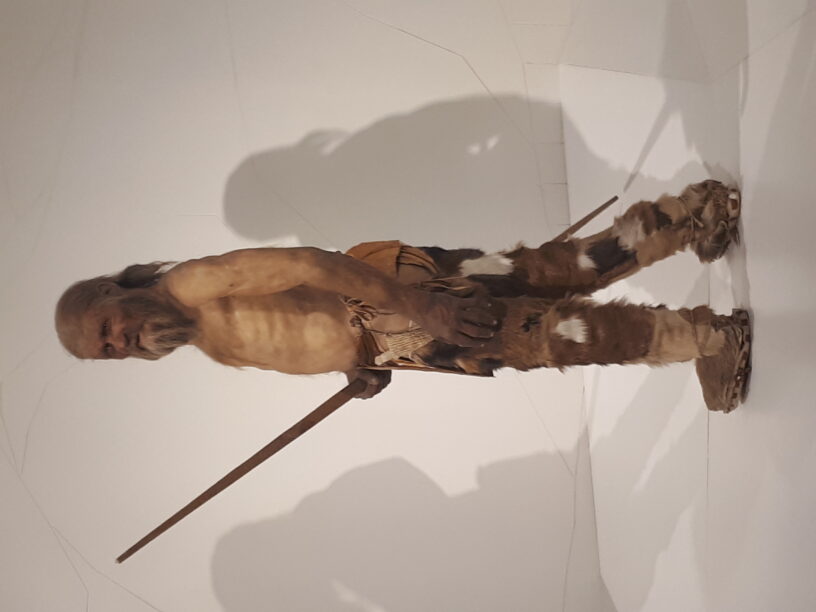 Ötzi, der Mann aus dem Eis: Wie Pädagogen vertuschen, was er wirklich ...